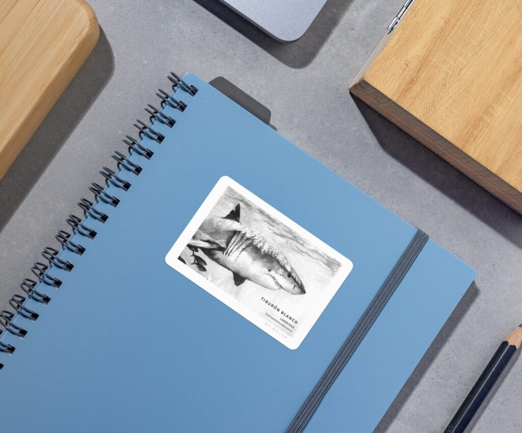 Pack de 13 stickers de tiburones – Coalición Tiburón Perú